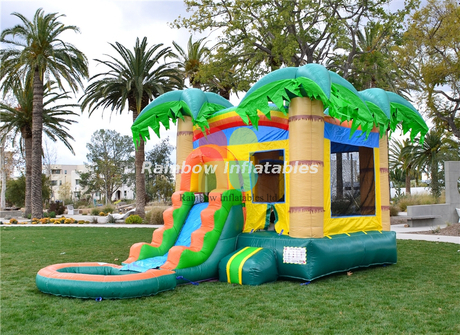 Inflatable Tropical Jumper water slide-Rainbow Inflatables from China ...
