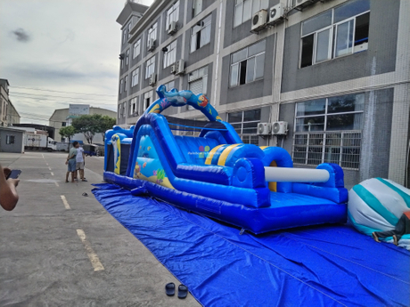 Inflatable Shark Theme Obstacle from China manufacturer - Rainbow ...