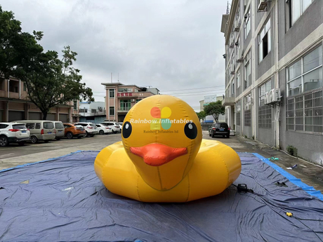 inflatable water duckling floating trampoline from China manufacturer ...
